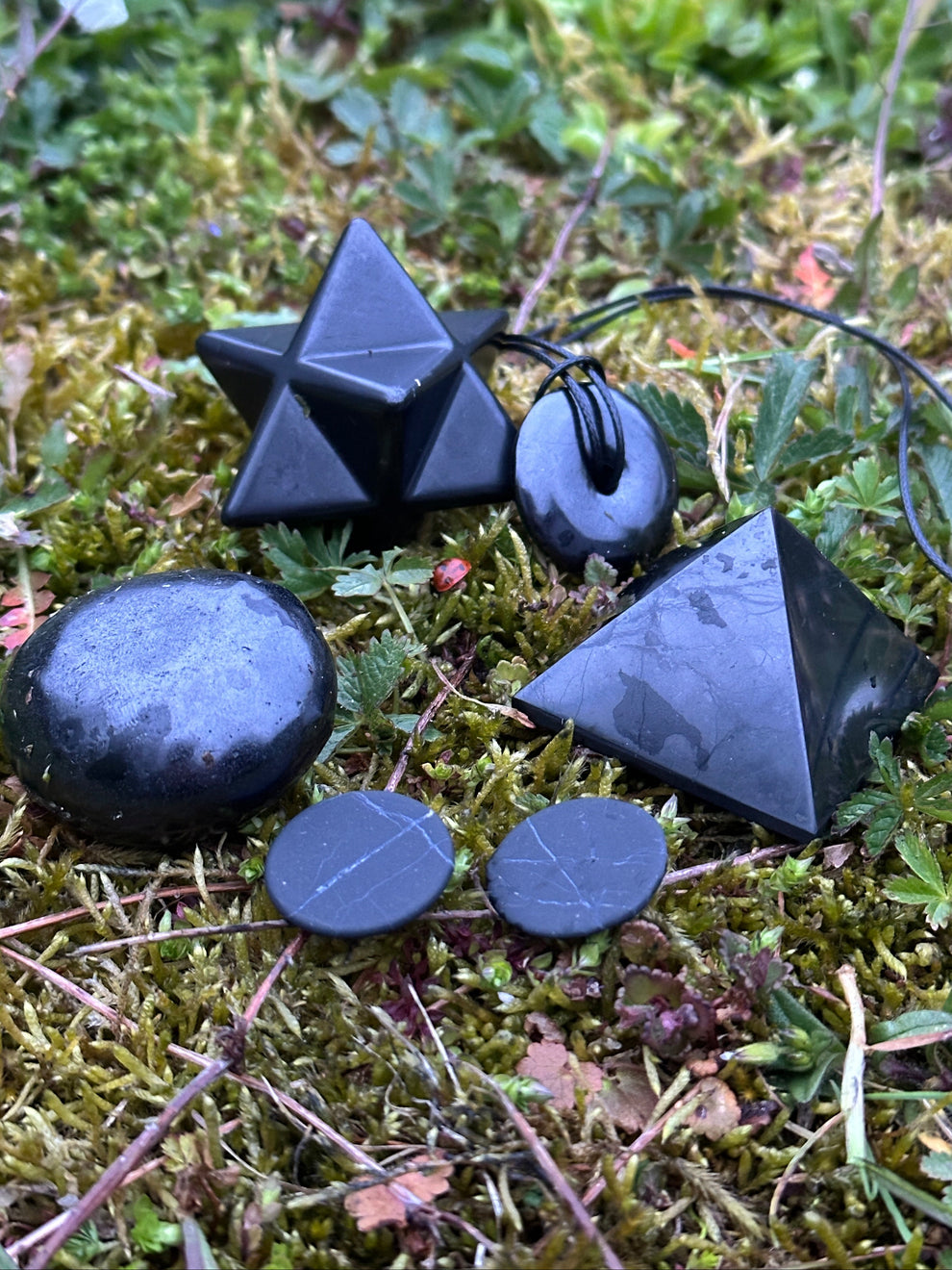 Shungite Starter Kit – 28 Shungite